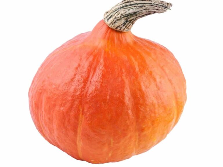 Red Kuri Squash Soup - We Eat At Last